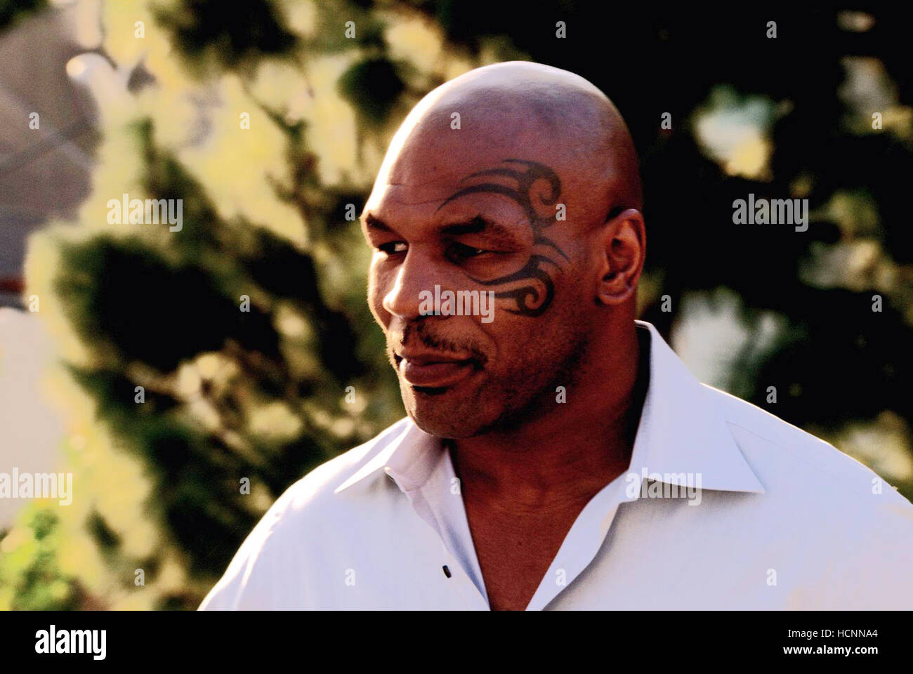 TYSON, Mike Tyson, 2008. ©Sony Pictures Classics/avec la permission d ...