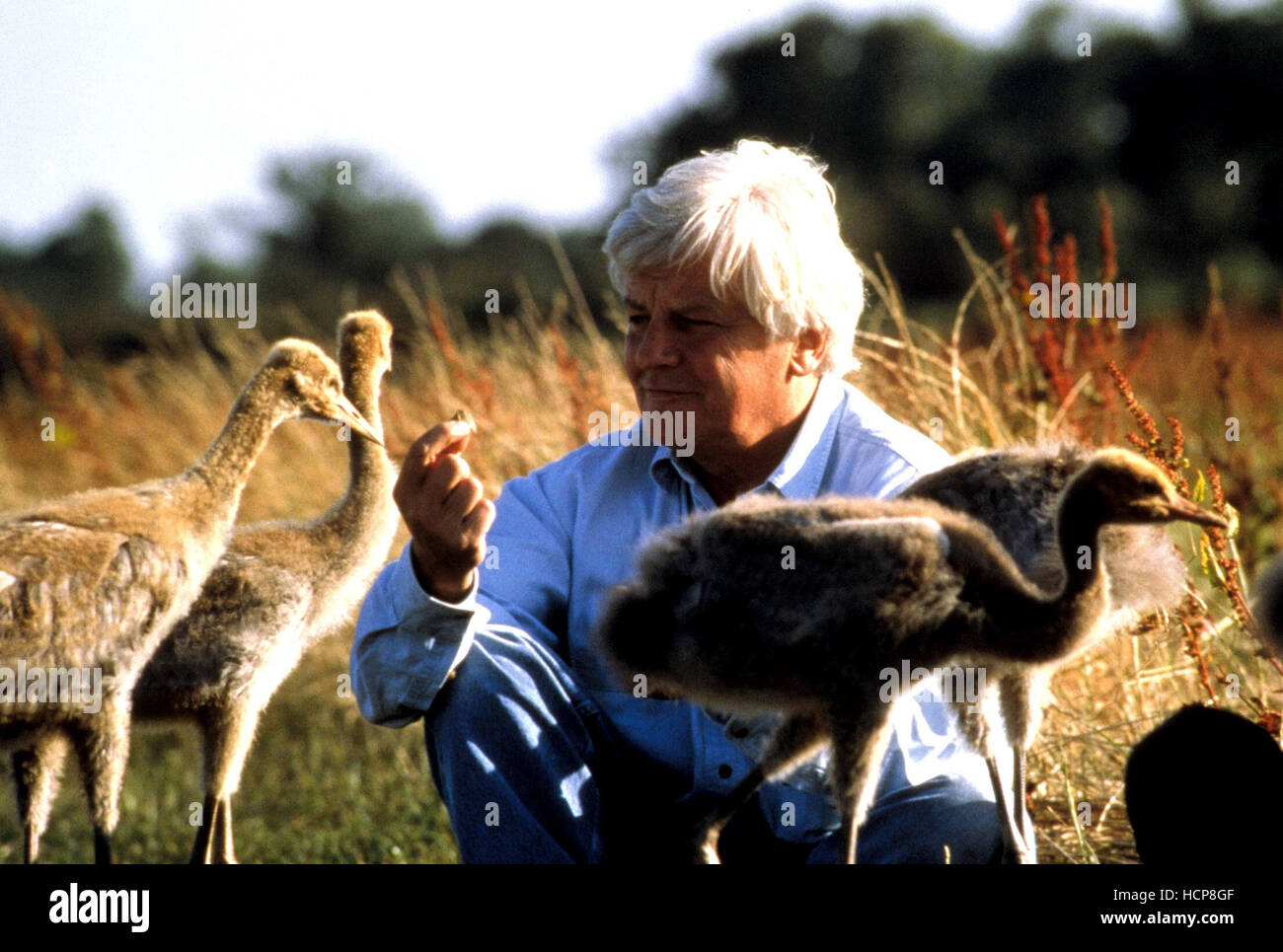 Jacques perrin Banque d'image et photos - Alamy