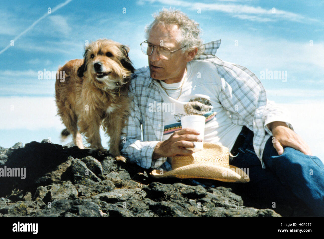 BENJI LE Chassé, Benji, directeur Joe Camp, sur-ensemble, 1987, © Walt ...