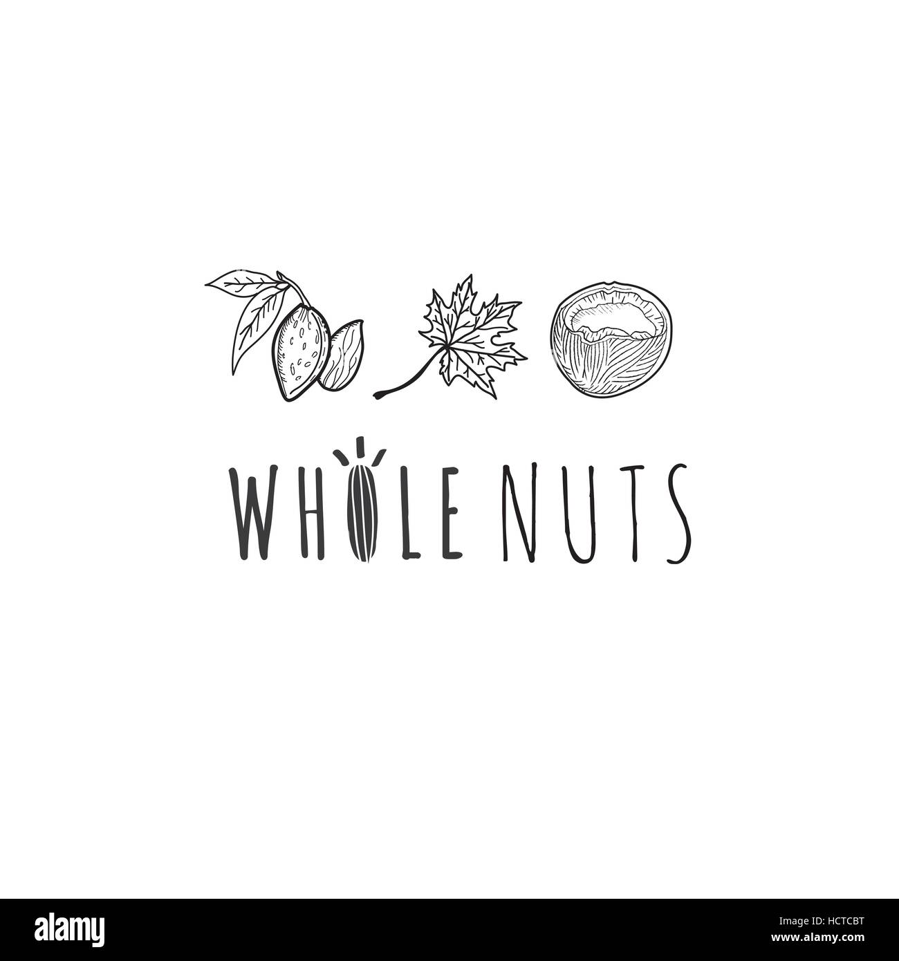 Noix noires Banque d'images vectorielles - Alamy