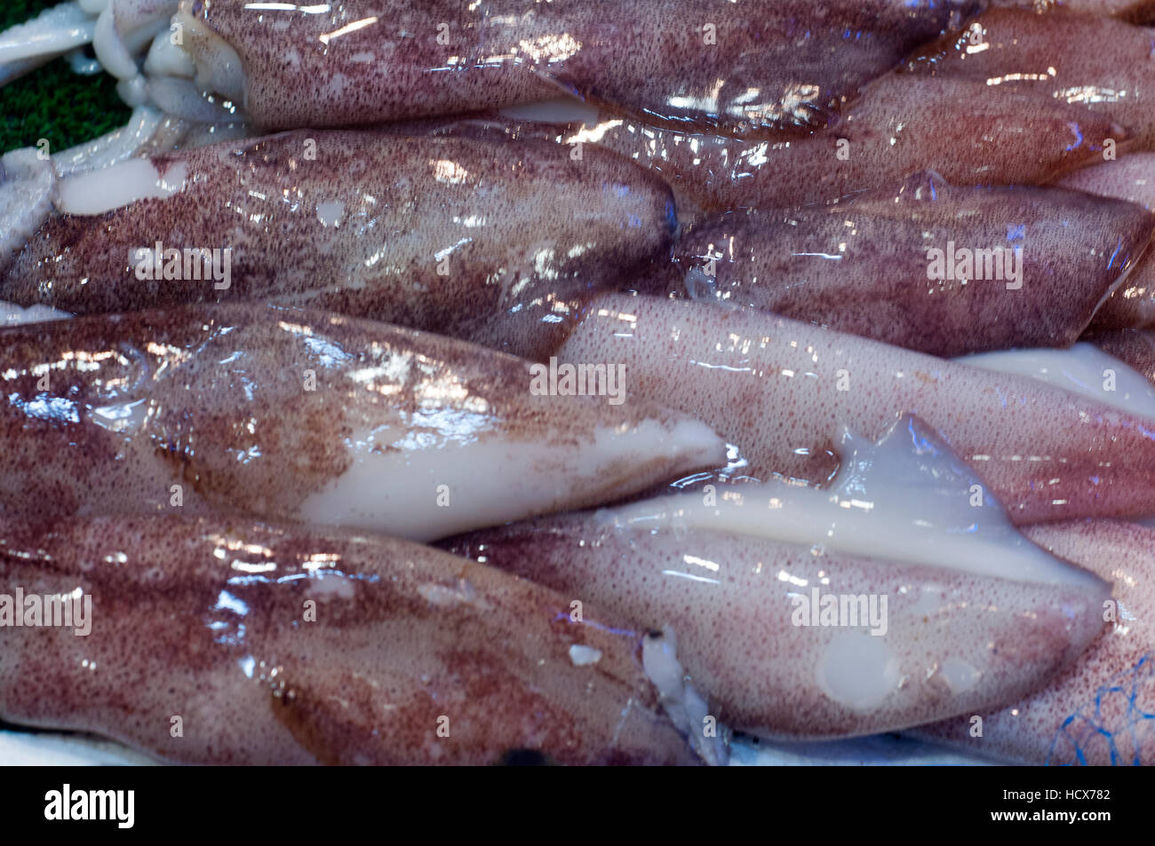 Squid skin Banque de photographies et d’images à haute résolution - Alamy