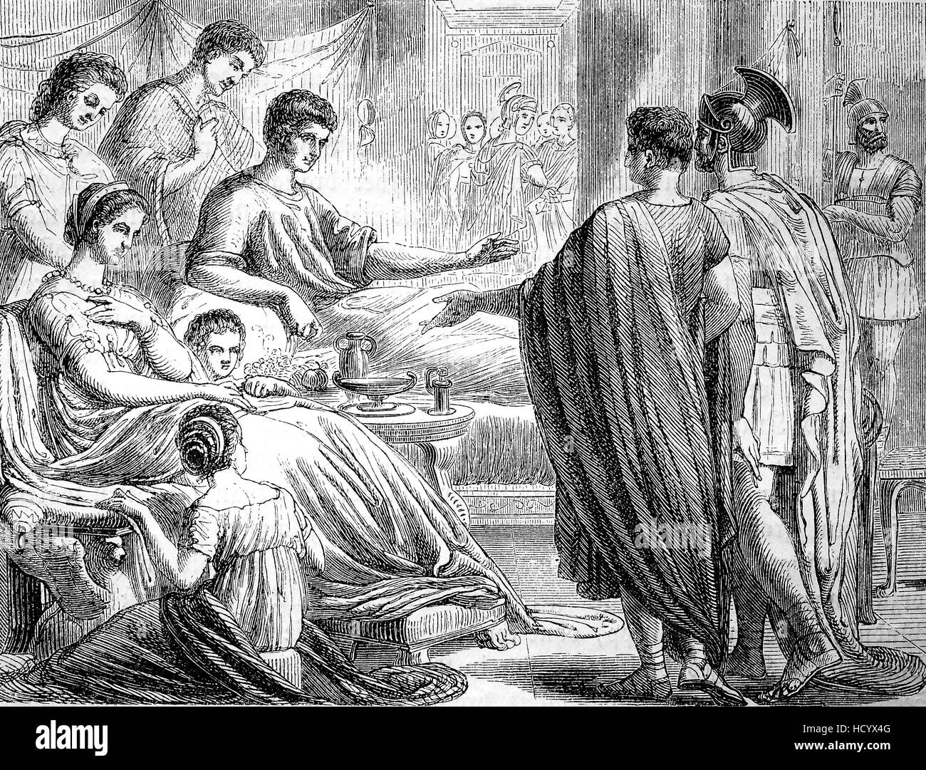 Titus flamininus Banque de photographies et d’images à haute résolution ...