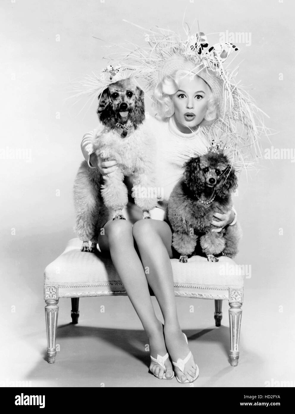 Mamie Van Doren, ca. fin des années 1950 Photo Stock - Alamy
