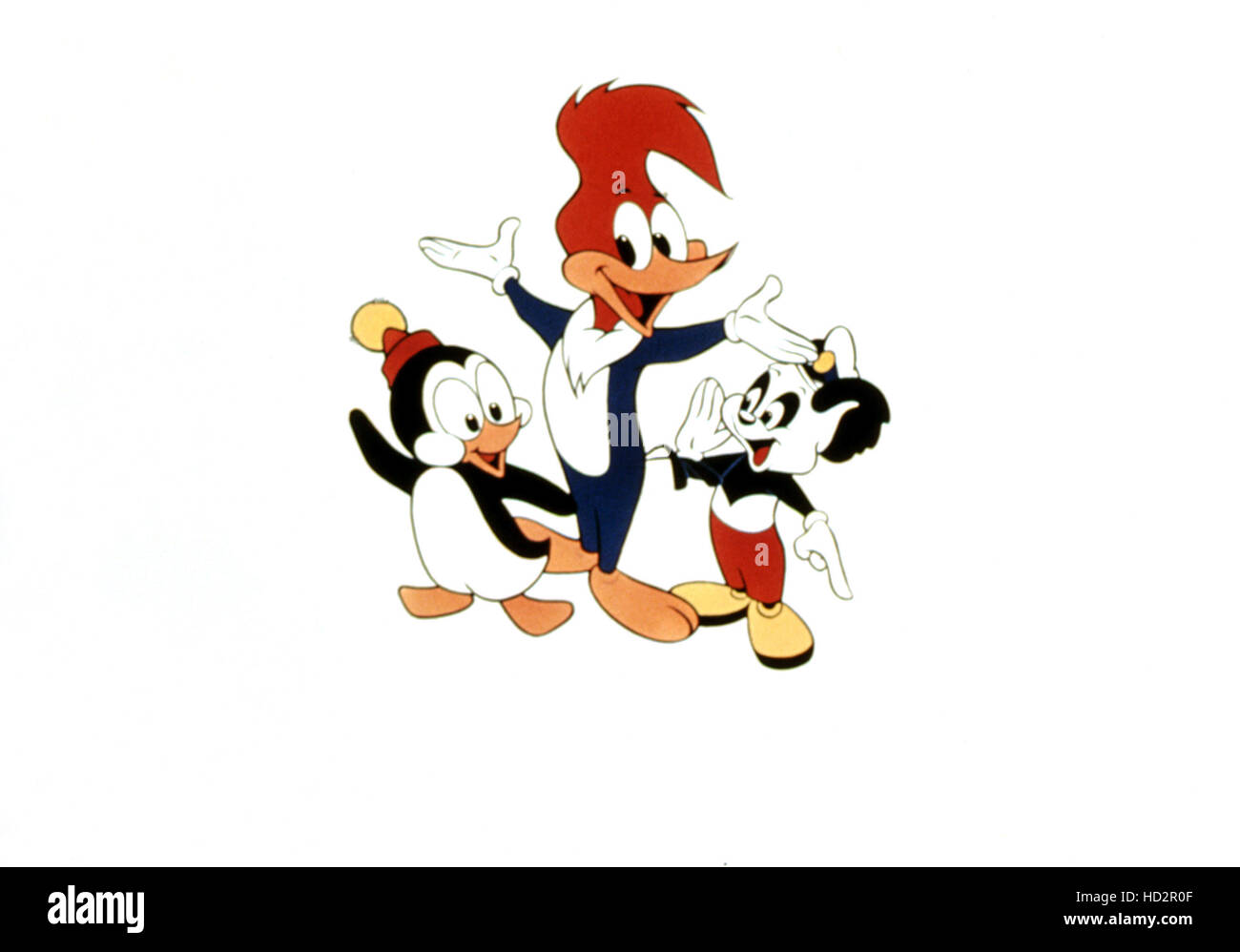 Woody woodpecker cartoon Banque d'images détourées - Alamy