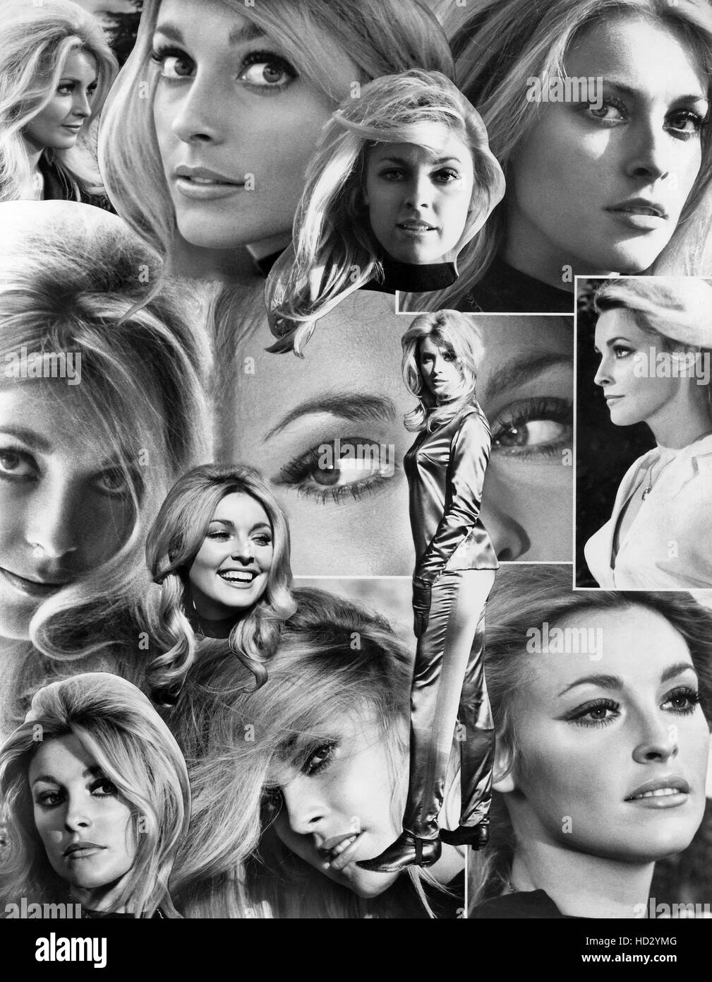 Sharon tate Banque d'images noir et blanc - Page 2 - Alamy