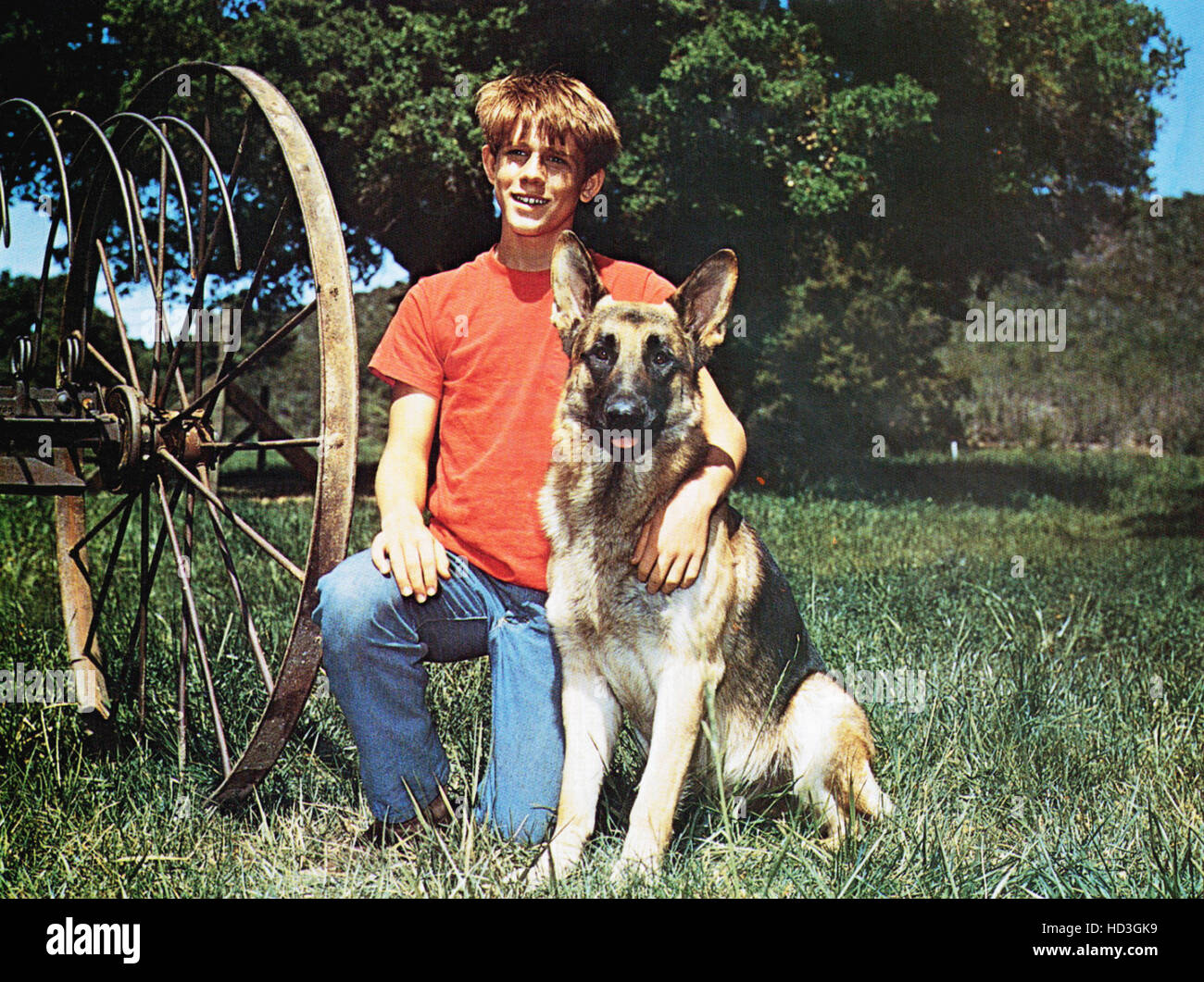 DISNEYLAND, (alias du merveilleux monde de Disney, alias WALT DISNEY'S ...