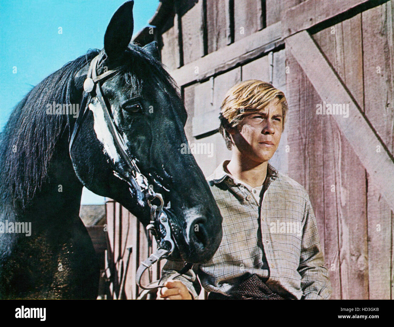 DISNEYLAND, (alias du merveilleux monde de Disney, alias WALT DISNEY'S ...