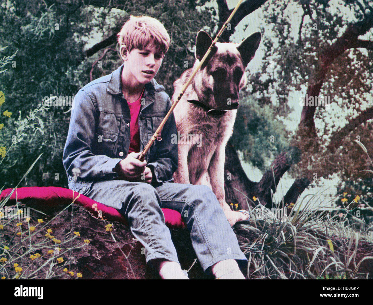 DISNEYLAND, (alias du merveilleux monde de Disney, alias WALT DISNEY'S ...