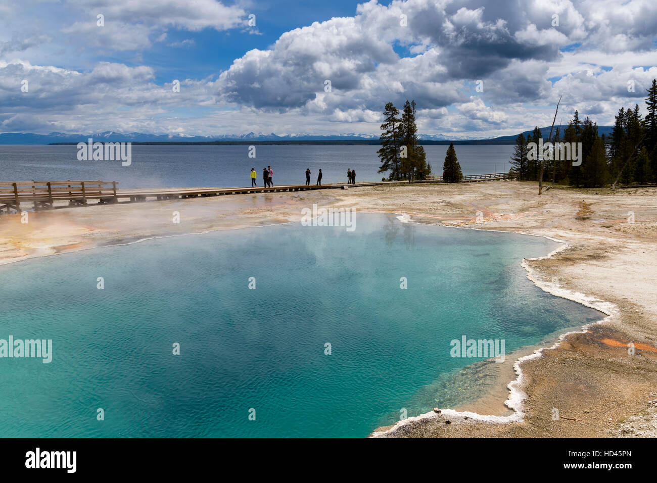 Bassin thermal de yellowstone Banque de photographies et d’images à ...