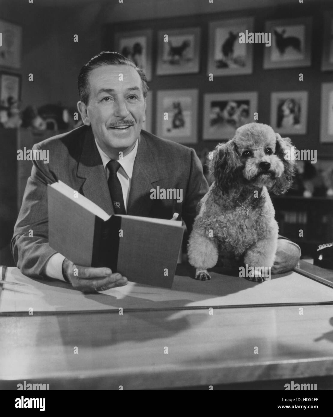 DISNEYLAND, (alias du merveilleux monde de Disney, alias WALT DISNEY'S ...