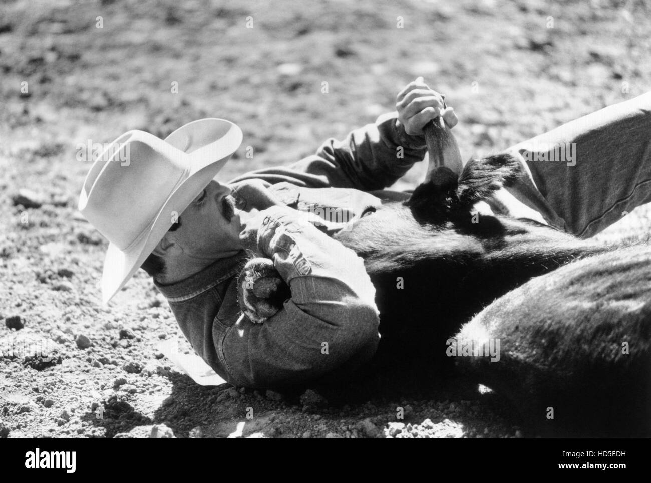 RUBY JEAN ET JOE, Tom Selleck, diffusée le 11 août 1996, ©Showtime ...