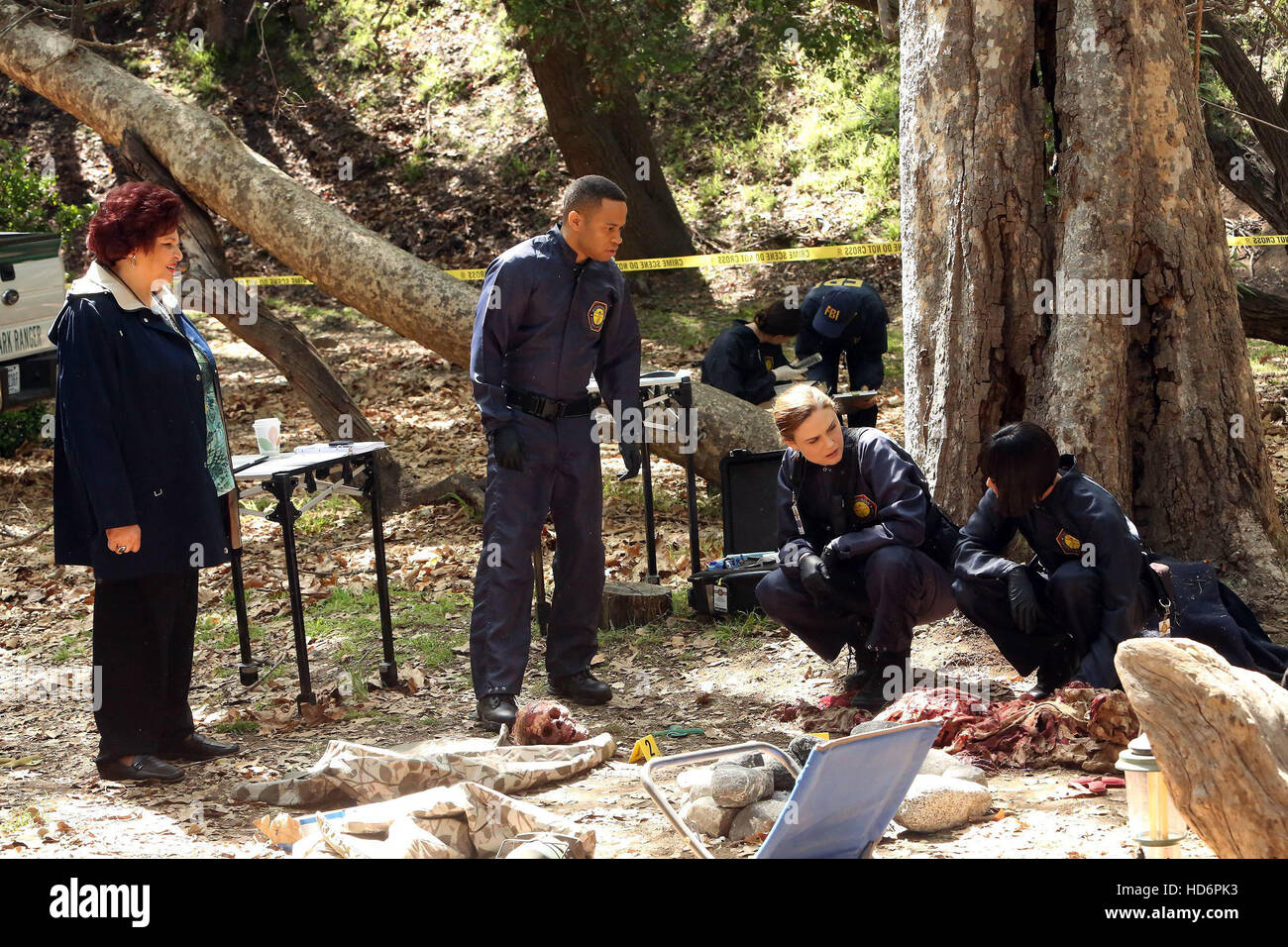 Les os, de gauche à droite : Patricia Belcher, Eugene Byrd, Emily Deschanel, Tamara Taylor dans ...