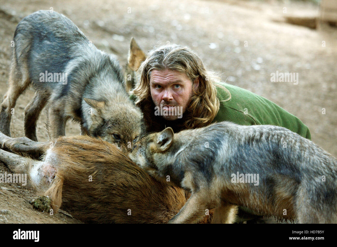 Shaun ellis Banque de photographies et d’images à haute résolution - Alamy