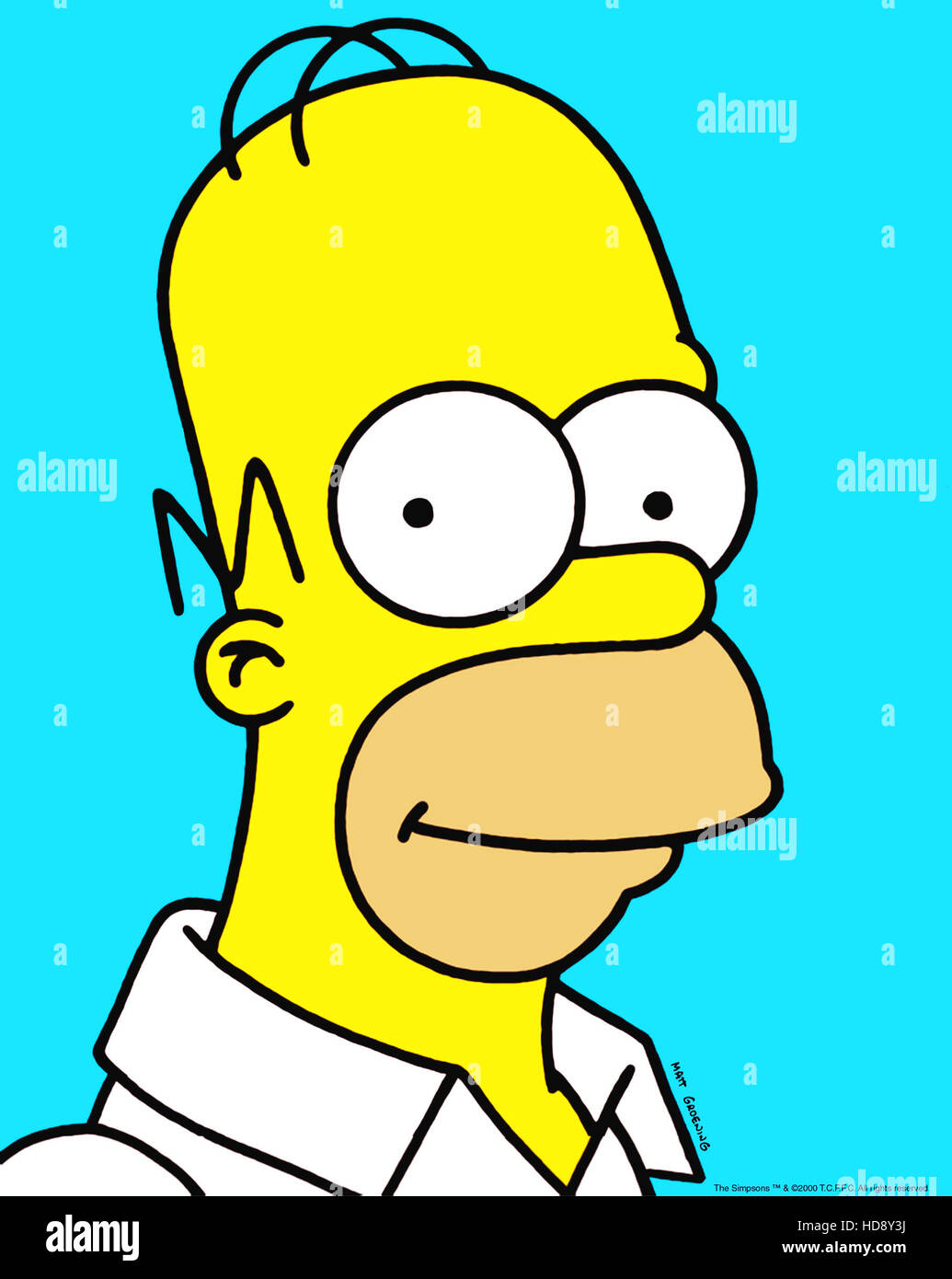 Les Simpsons, Homer Simpson, headshot, 1989-présent. TM et © Copyright ...