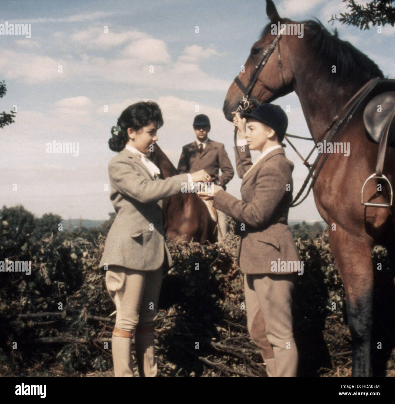 DISNEYLAND, (alias du merveilleux monde de Disney, alias WALT DISNEY'S ...