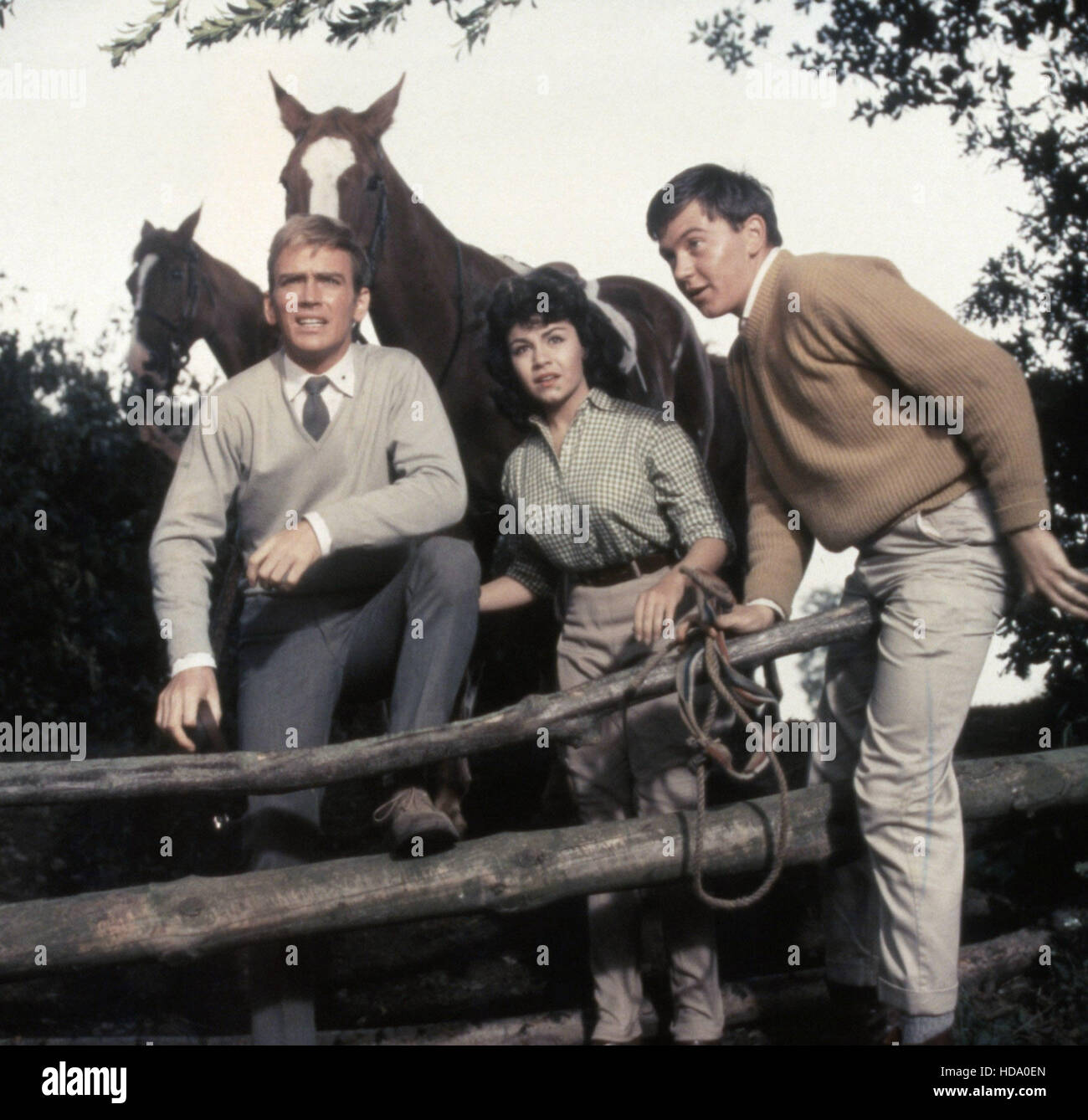 DISNEYLAND, (alias du merveilleux monde de Disney, alias WALT DISNEY'S ...