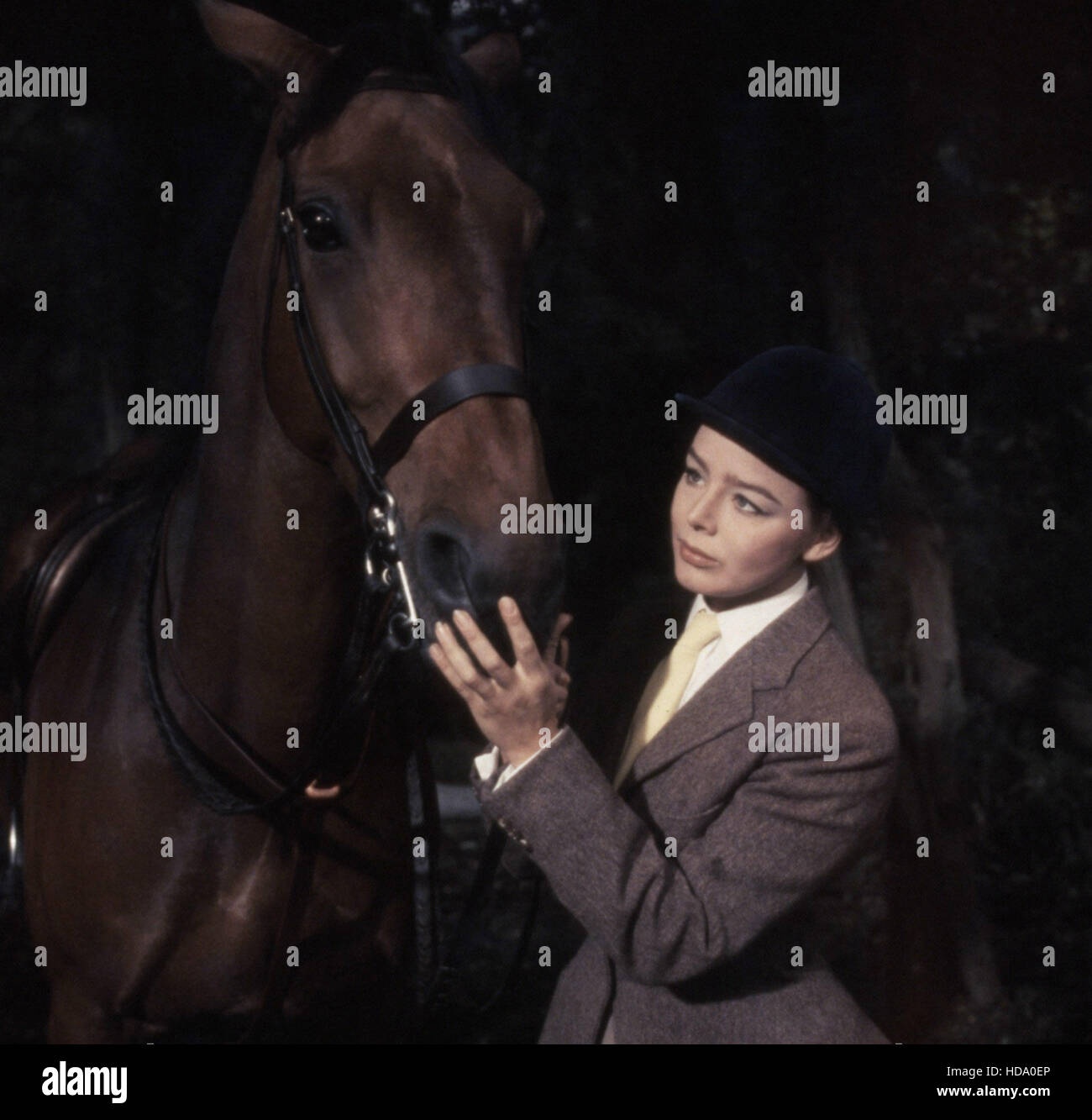 DISNEYLAND, (alias du merveilleux monde de Disney, alias WALT DISNEY'S ...