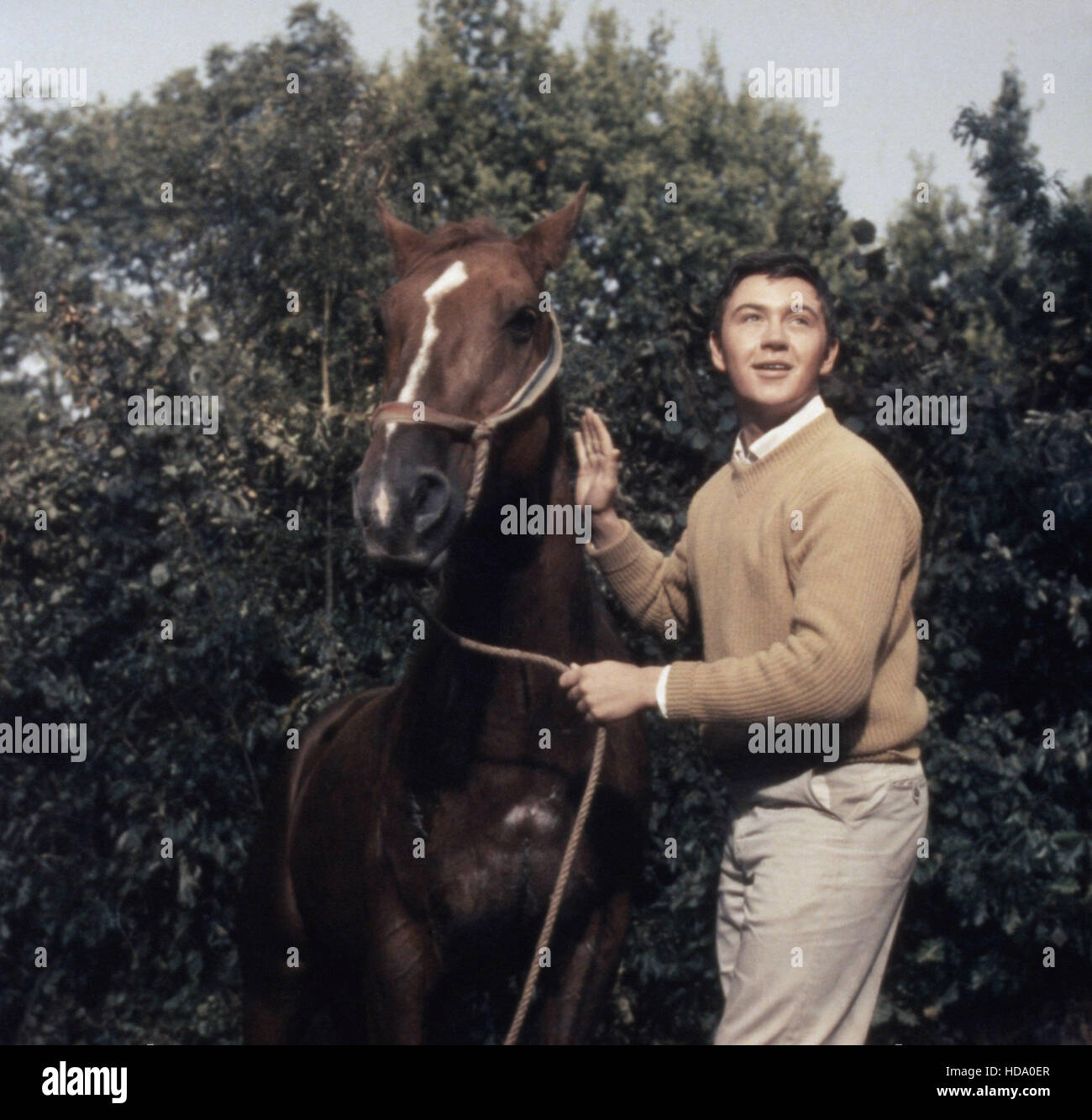 DISNEYLAND, (alias du merveilleux monde de Disney, alias WALT DISNEY'S ...