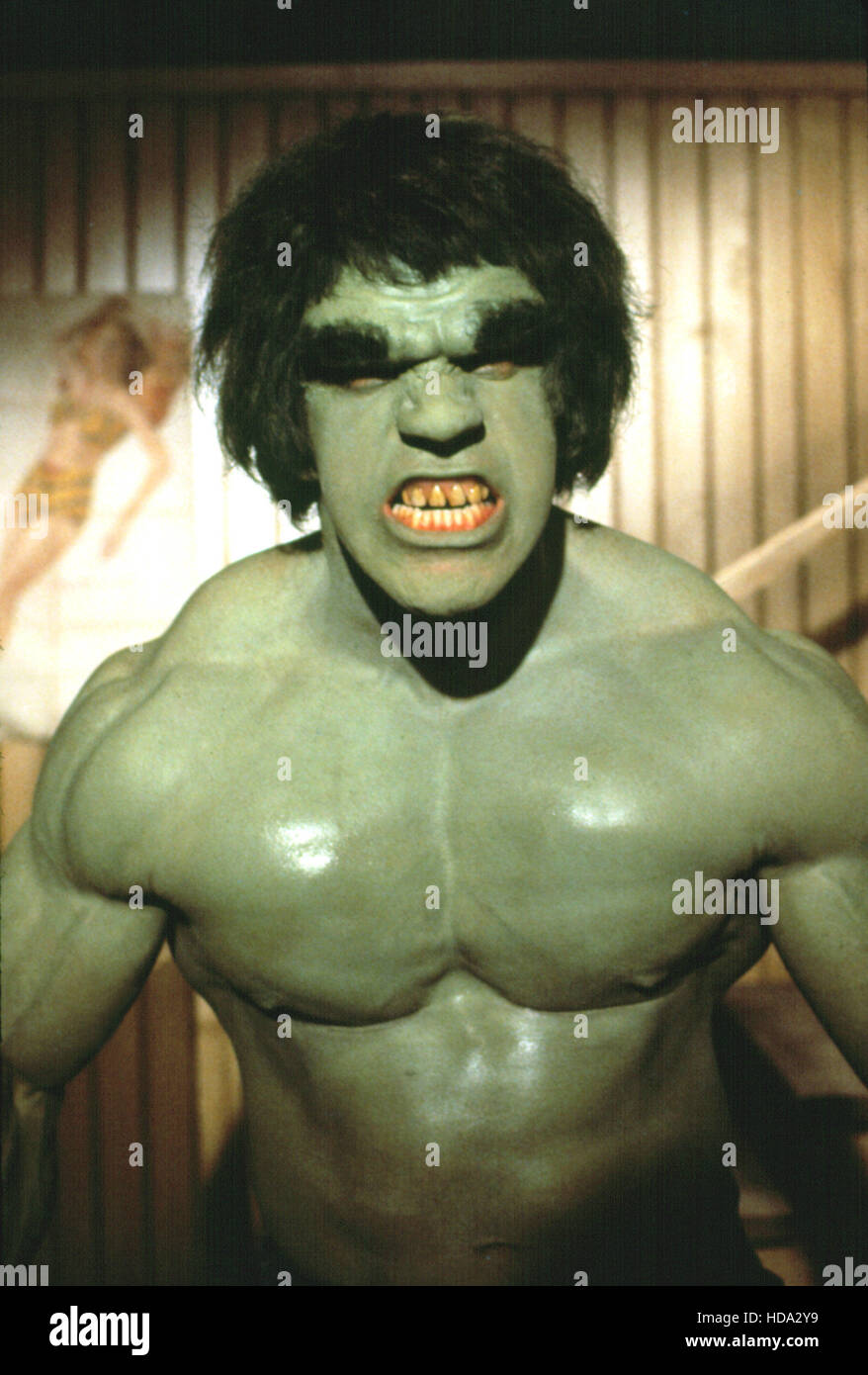 L incroyable hulk lou ferrigno Banque d'image et photos - Page 2 - Alamy
