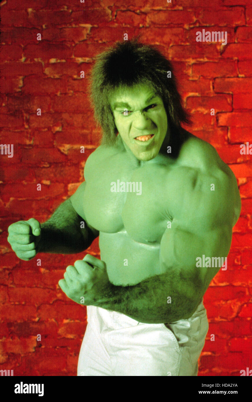 INCREDIBLE HULK REVIENT, Lou Ferrigno, 1988 Photo Stock - Alamy