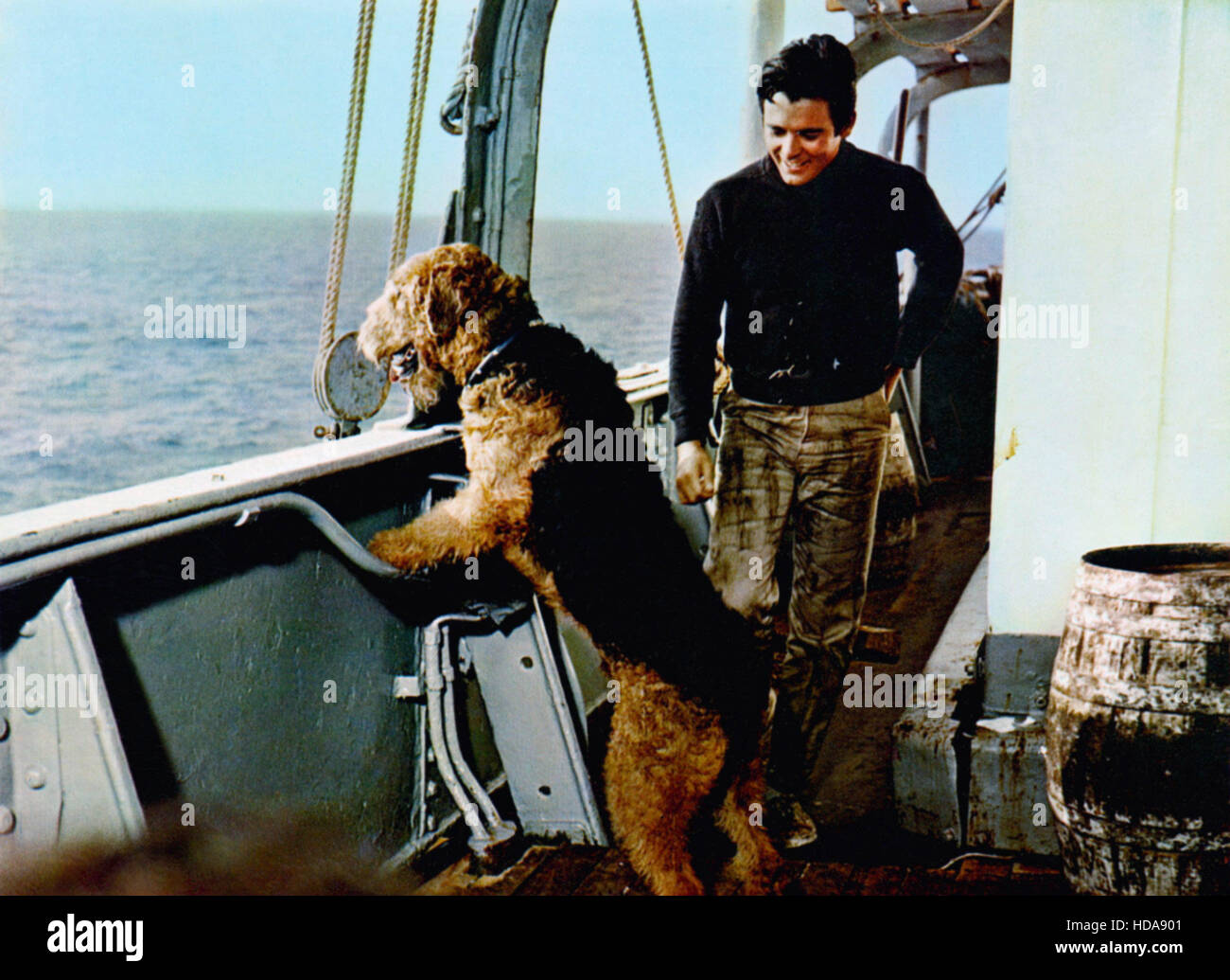 DISNEYLAND, (alias du merveilleux monde de Disney, alias WALT DISNEY'S ...