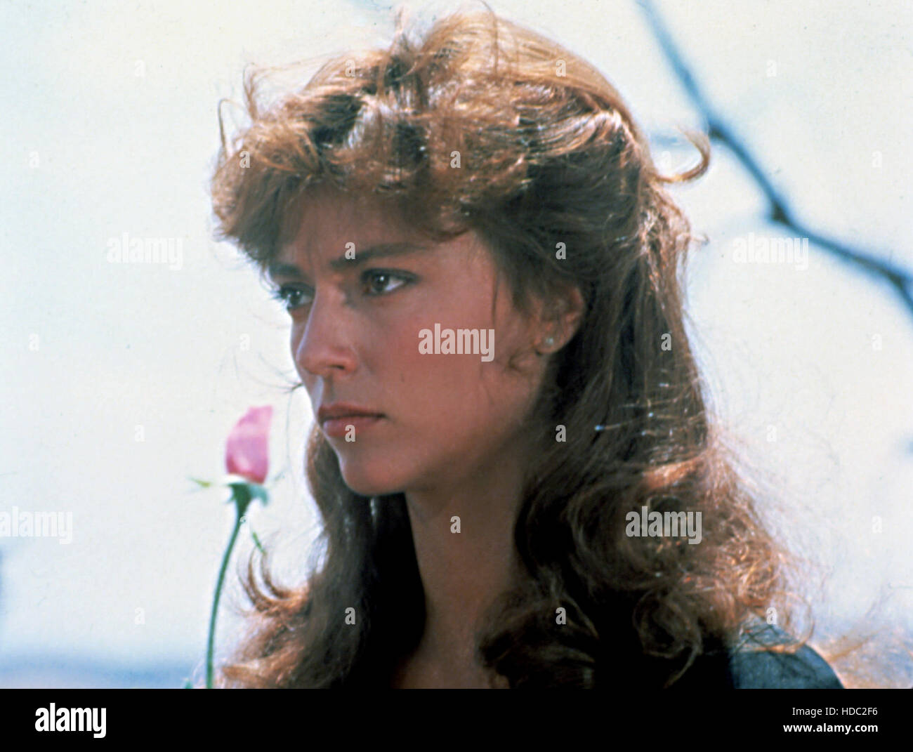 The thorn birds tv rachel ward Banque de photographies et d’images à ...