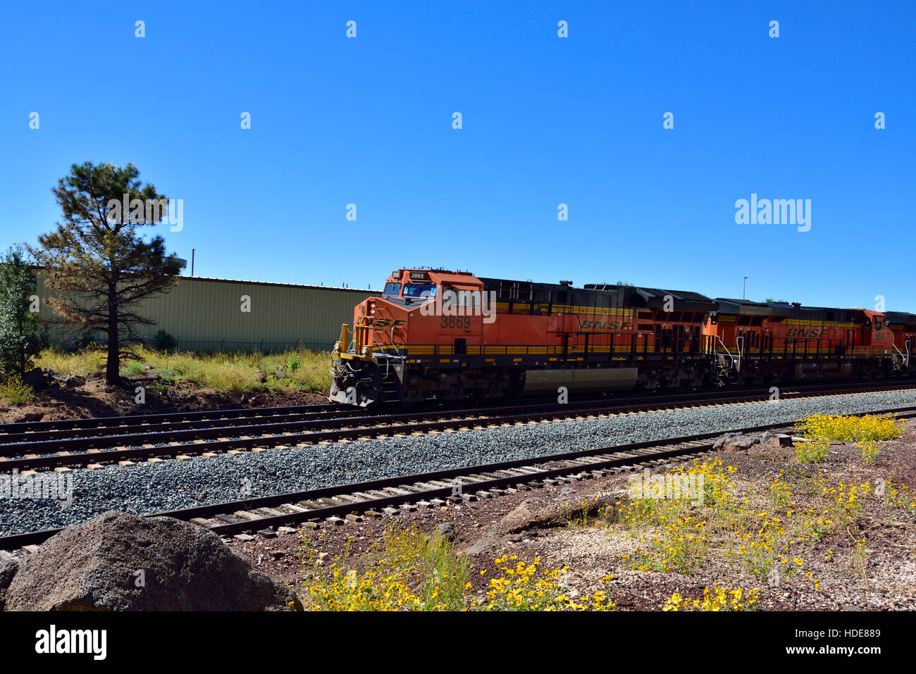 BNSF locomotives diesel à l'avant du train, Flagstaff, Arizona Photo ...