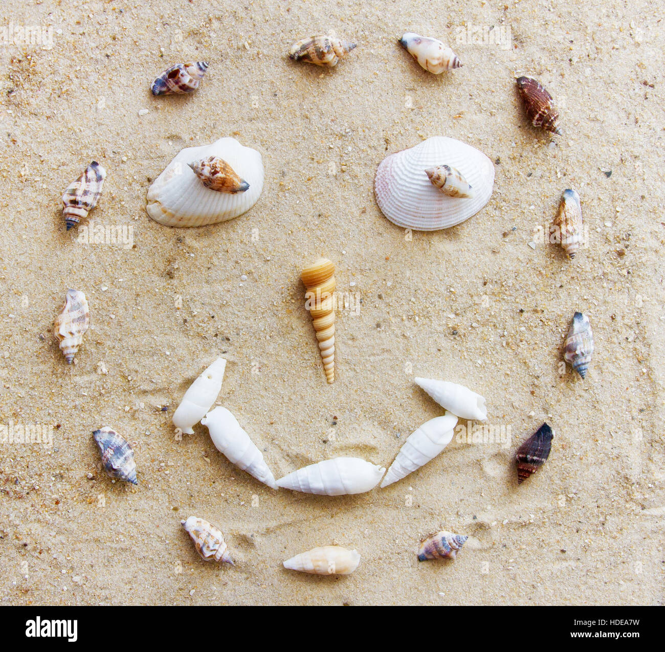 Beach sand shells Banque de photographies et d’images à haute ...