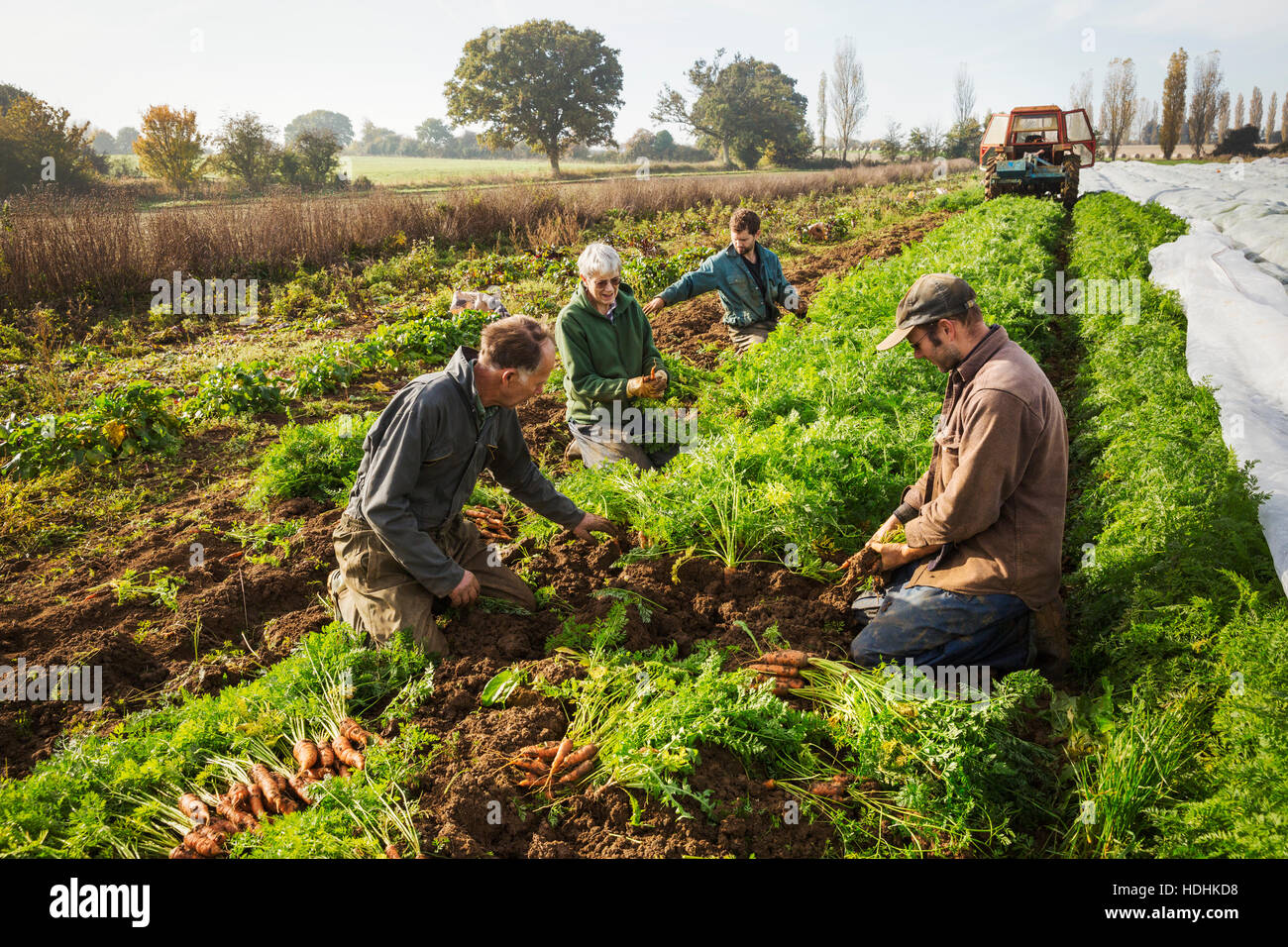 Groupe de personne dans un champ Banque de photographies et d’images à ... Groupe de personne dans un champ Banque de photographies et d’images à ...