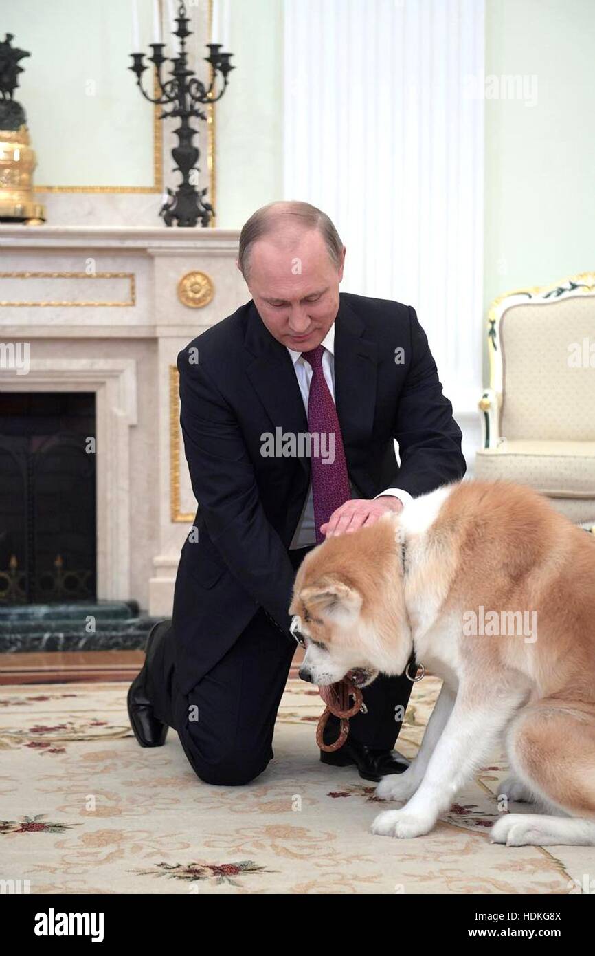 Le président russe Vladimir Poutine joue avec son chien Yume, un Akita ...
