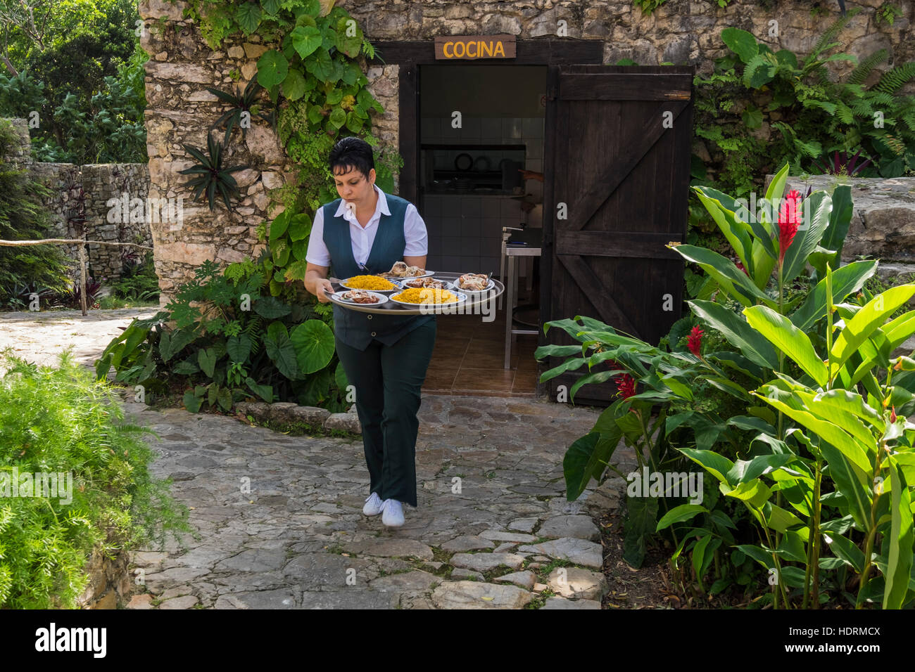 Serveuse Avec Plateau Banque d'image et photos - Alamy