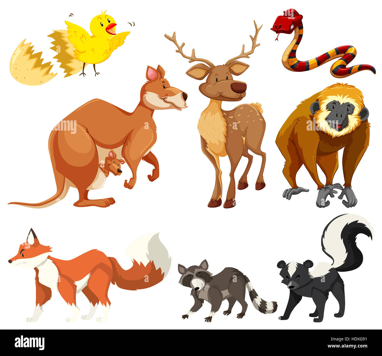 Tipos de animales Banque de photographies et d’images à haute ...