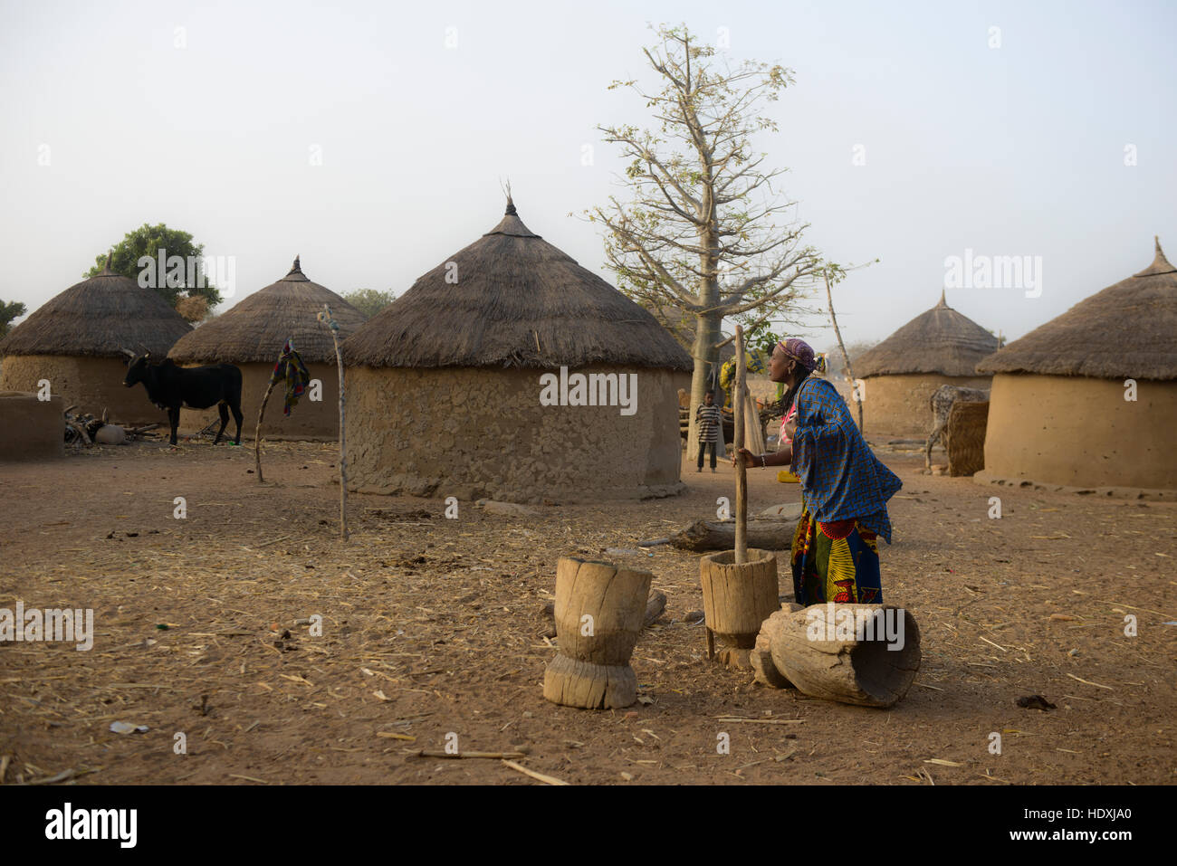 La vie rurale dans un village Peul du Sahel, dans le nord-est du ...