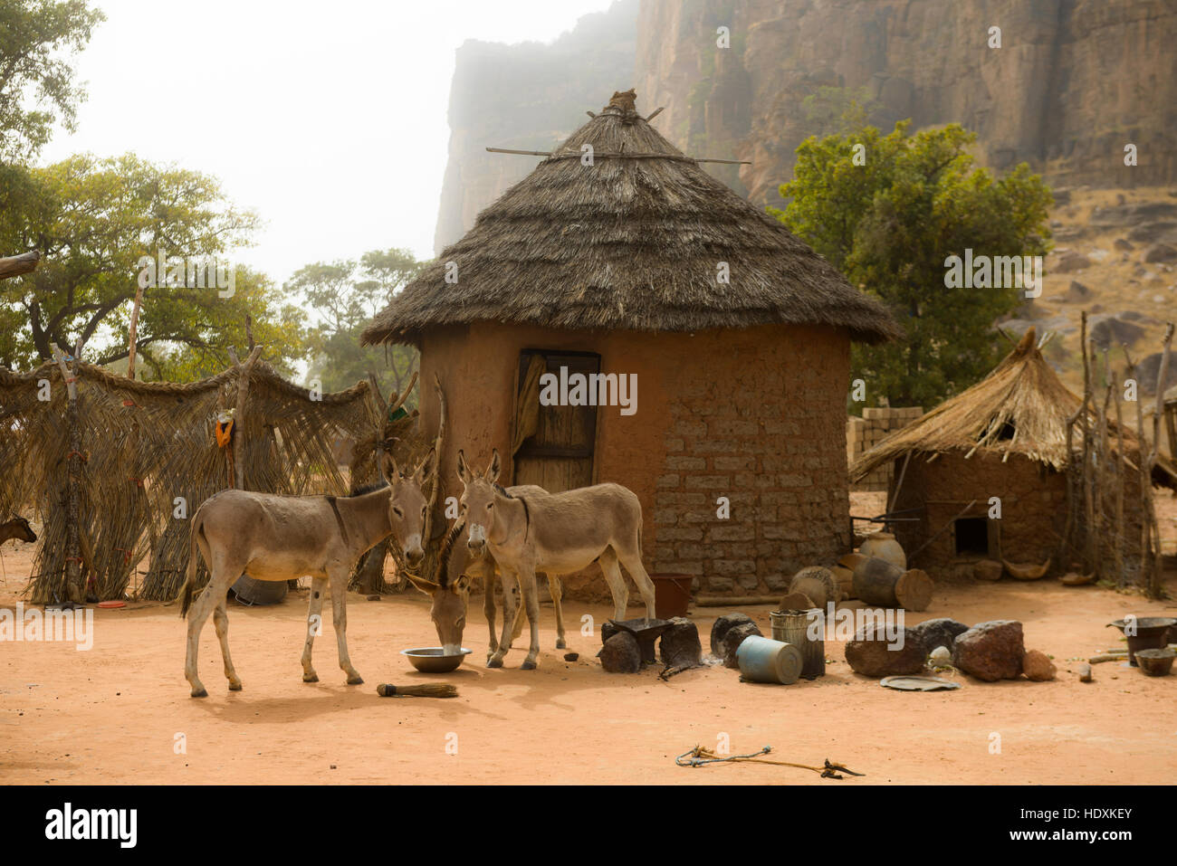 La vie du village dans les zones rurales du Mali Photo Stock - Alamy