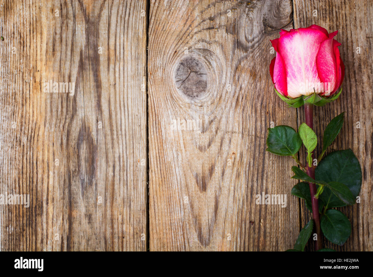 Roses et coeurs sur une table en bois Banque de photographies et d ...