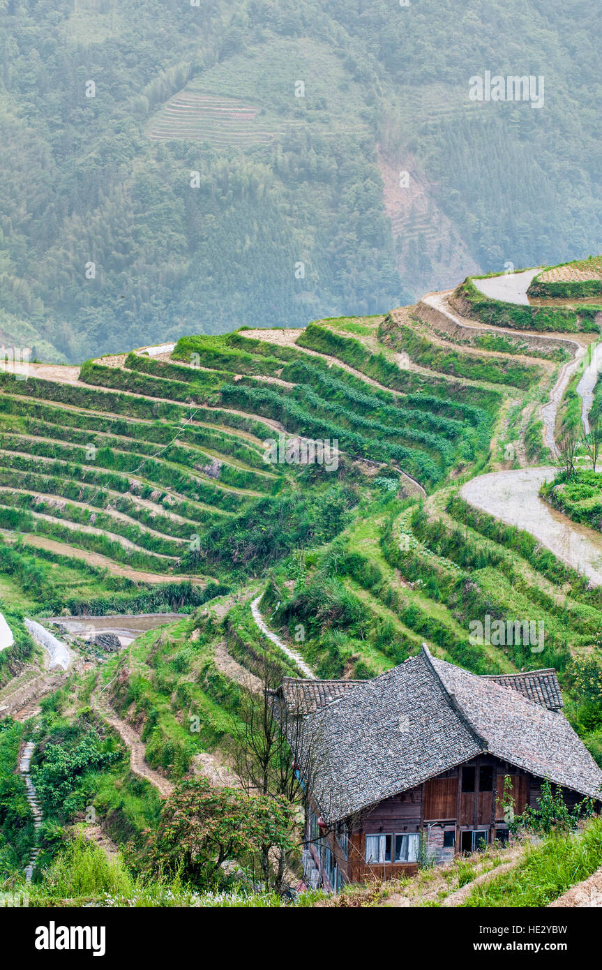 Dragon spine rice terraces longsheng Banque de photographies et d ...