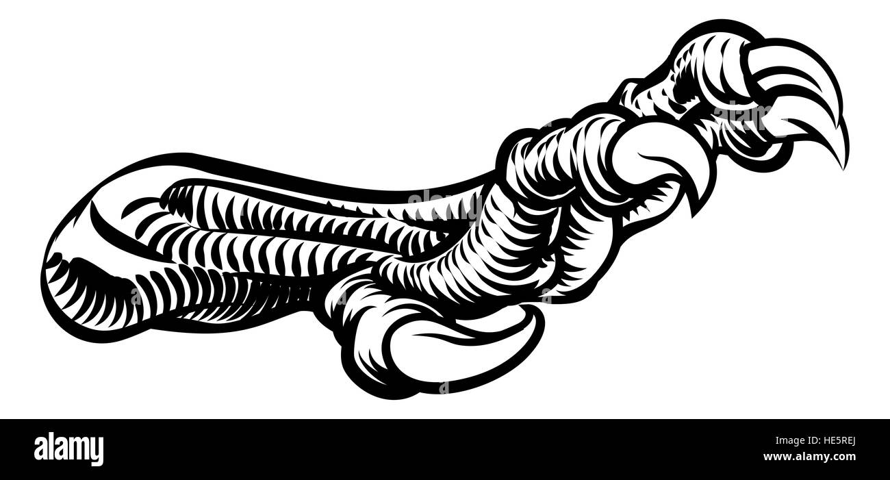 Griffes d'oiseaux Banque de photographies et d’images à haute ...