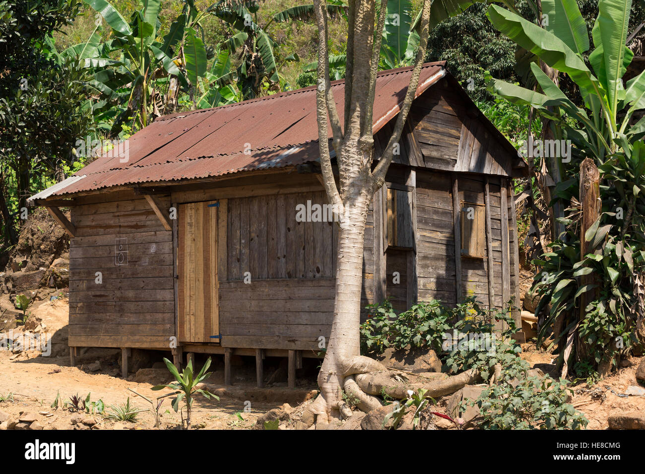 L'Afrique traditionnelle huttes malgaches à Andasibe région, village ...