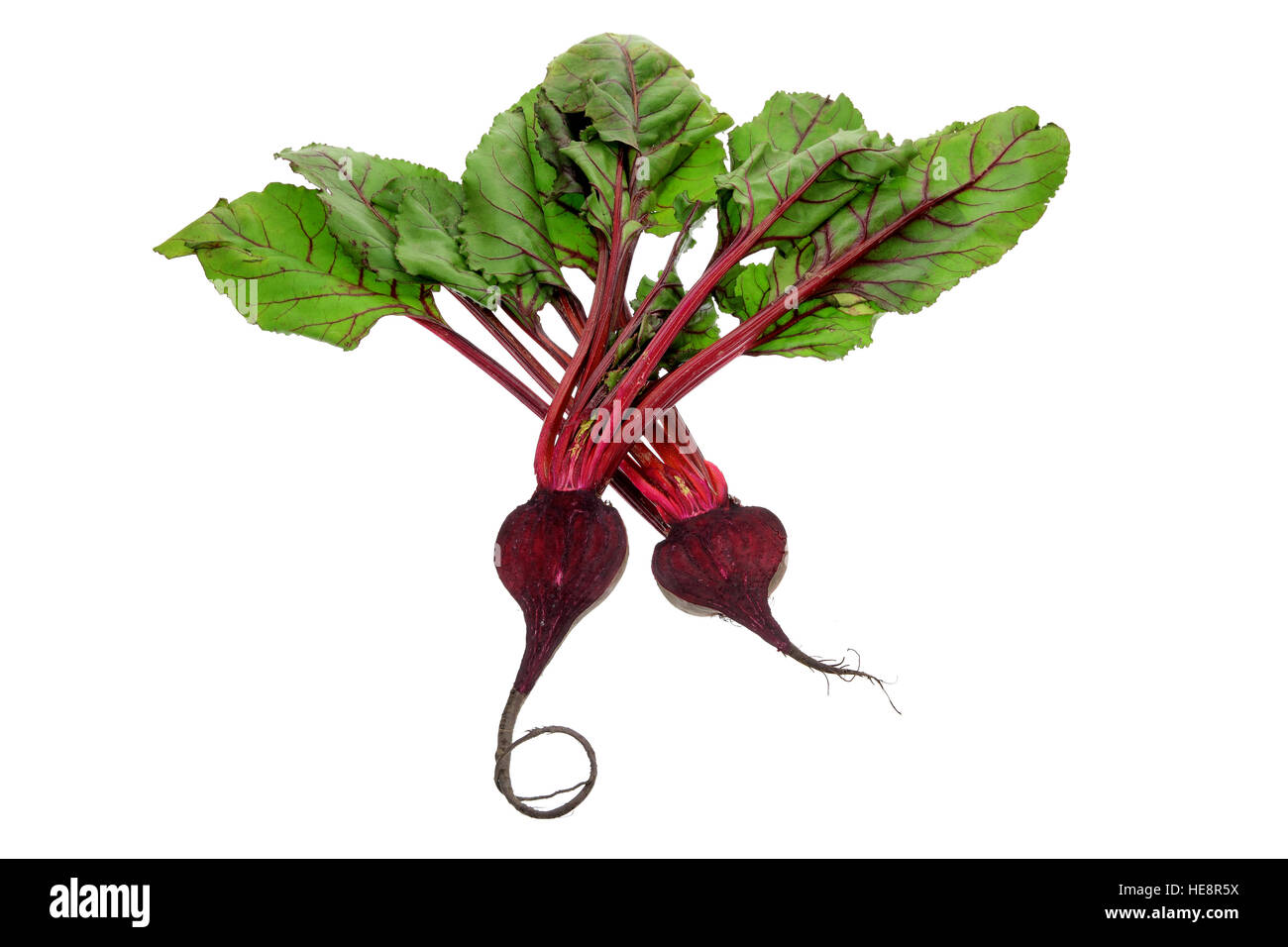 Betterave avec feuilles Banque d'images détourées - Page 2 - Alamy