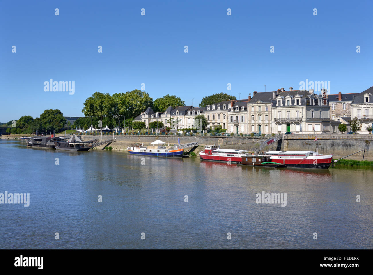 Maine anjou Banque de photographies et d’images à haute résolution - Alamy