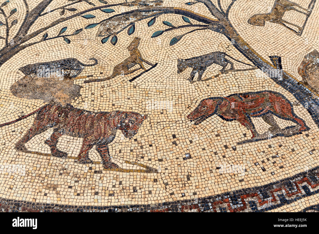 Mosaïque Animale Africaine Africaine Banque d'image et photos - Alamy
