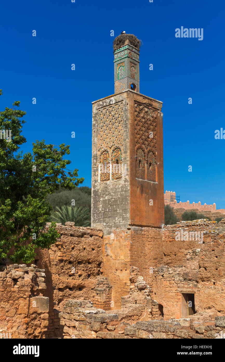 Chellah, près de Rabat, ruines romaines et Marinid nécropole, Maroc ...