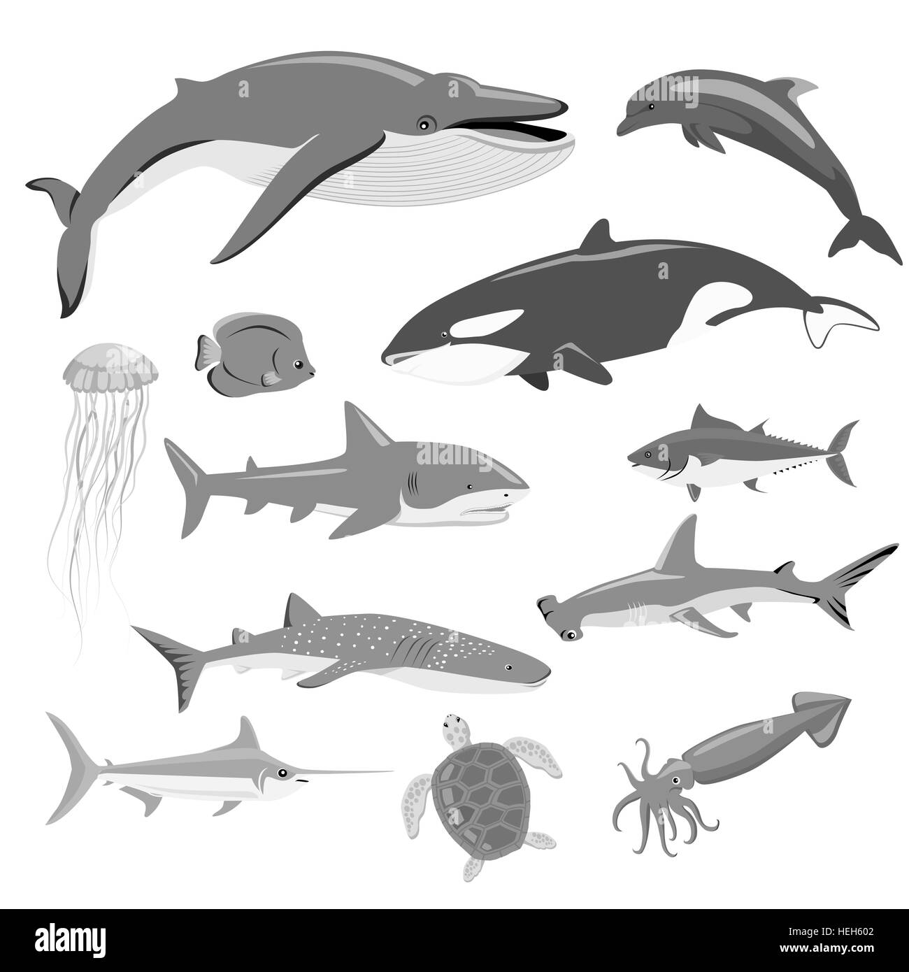 La faune marine ensemble d'animaux aquatiques. La faune aquatique, l ...