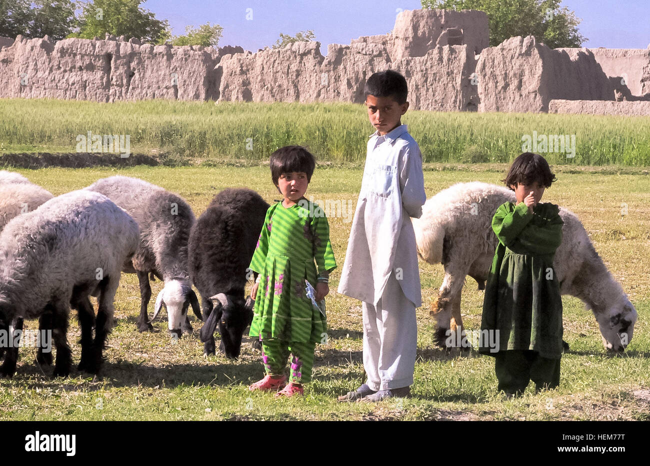 Personnel sgt frank inman Banque de photographies et d’images à haute ...