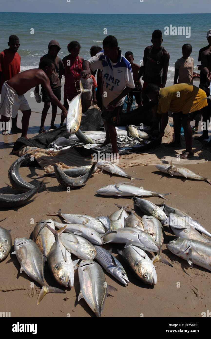 Poisson sur la plage à morondava Banque de photographies et d’images à ...