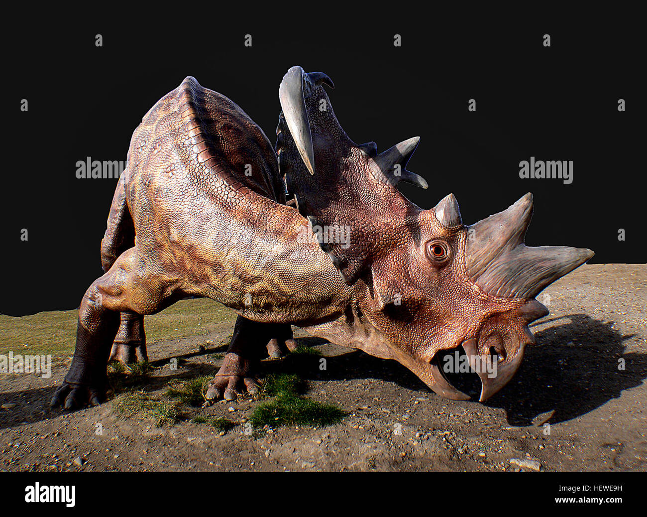 évolution des dinosaures Banque de photographies et d’images à haute ...