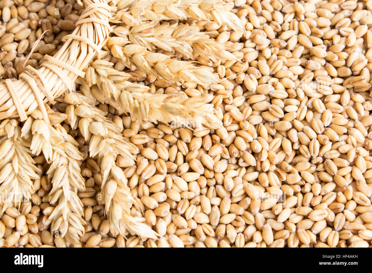 Les grains de blé et d'une gerbe de blé les oreilles Photo Stock - Alamy