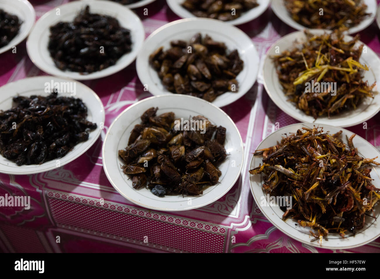 Nourriture pour insectes au laos Banque de photographies et d’images à ...