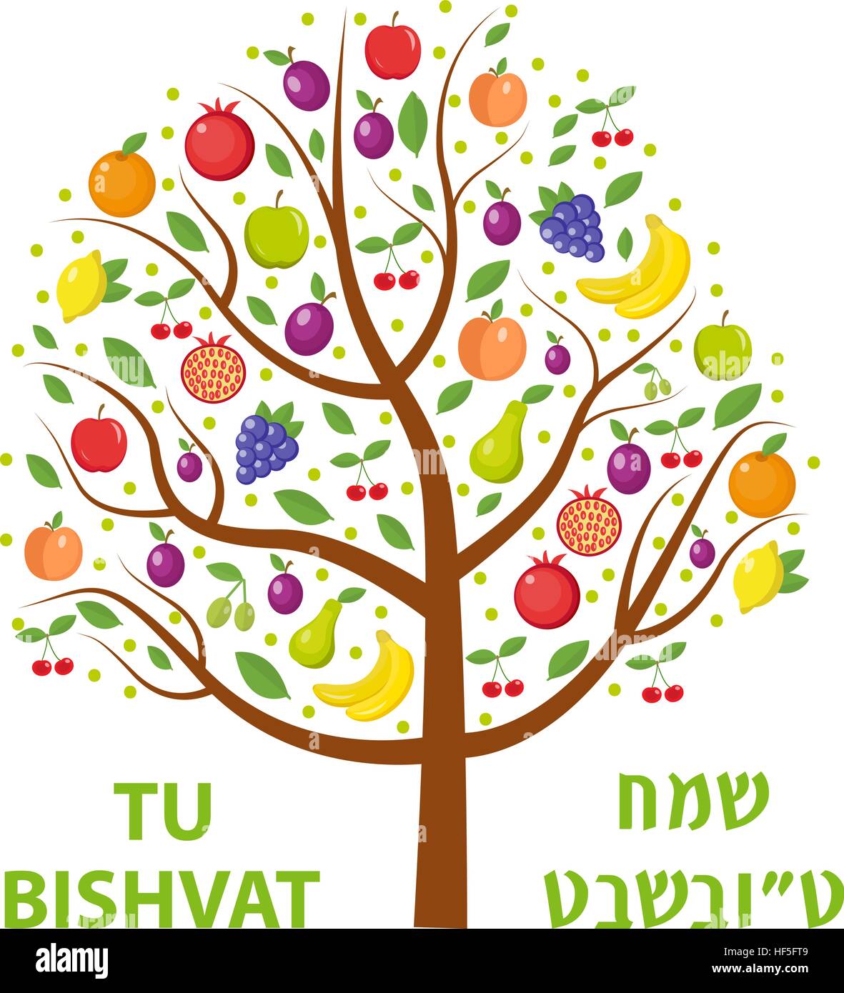 Olive tree israel Banque d'images vectorielles - Alamy