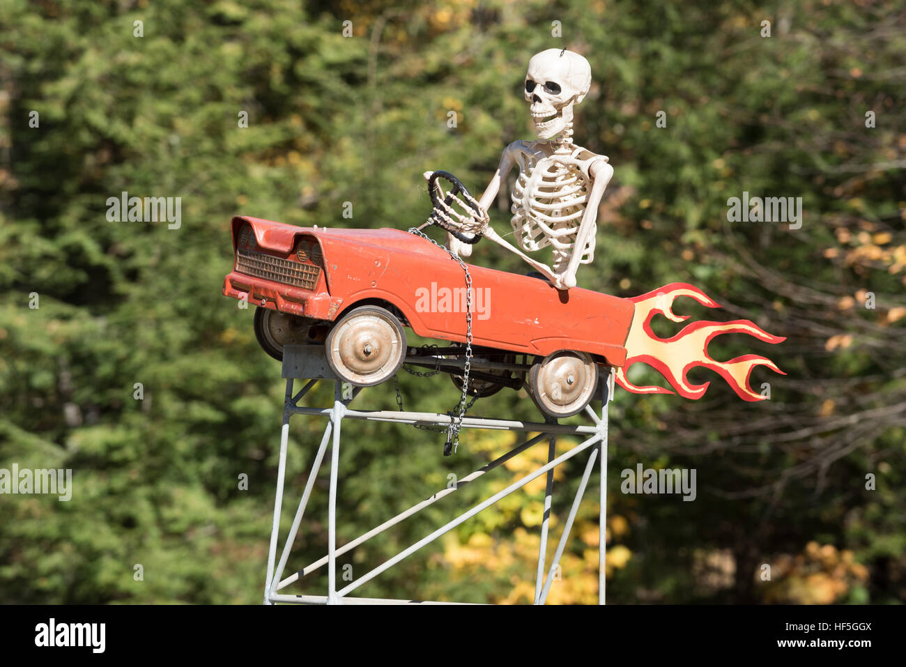 Squelette humoristique Banque de photographies et d’images à haute ...